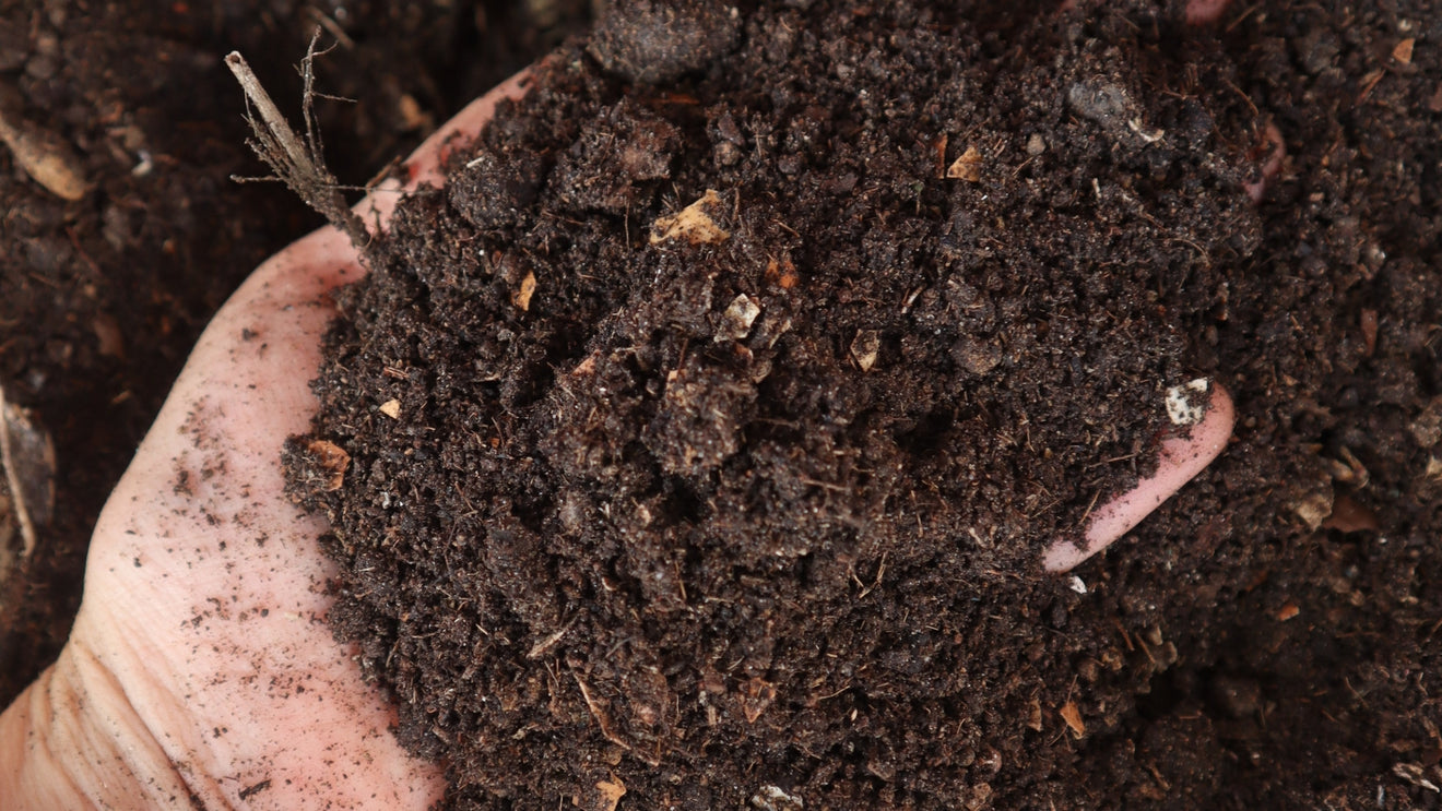About Convert the Dirt | Composting with Impact