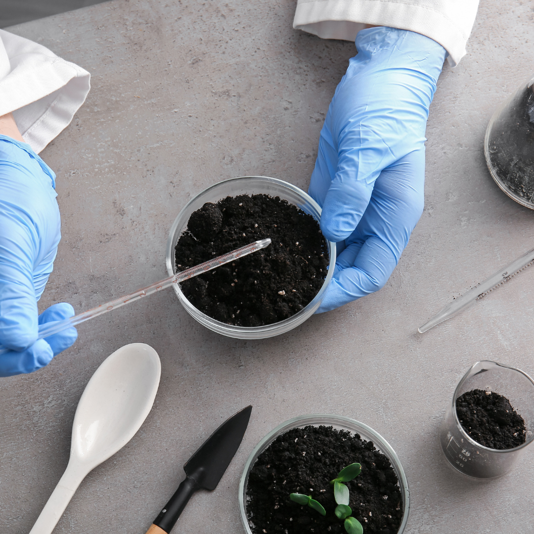 Micro Assessment – Convert the Dirt