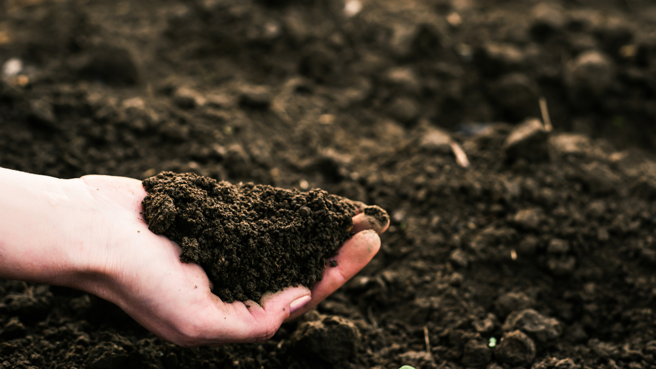 Shop Compost, Biochar & Soil Products | Convert the Dirt